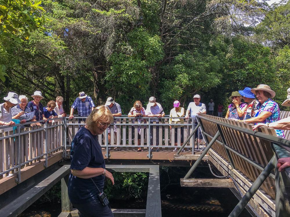 Wairarapa Wandering - MoaTours